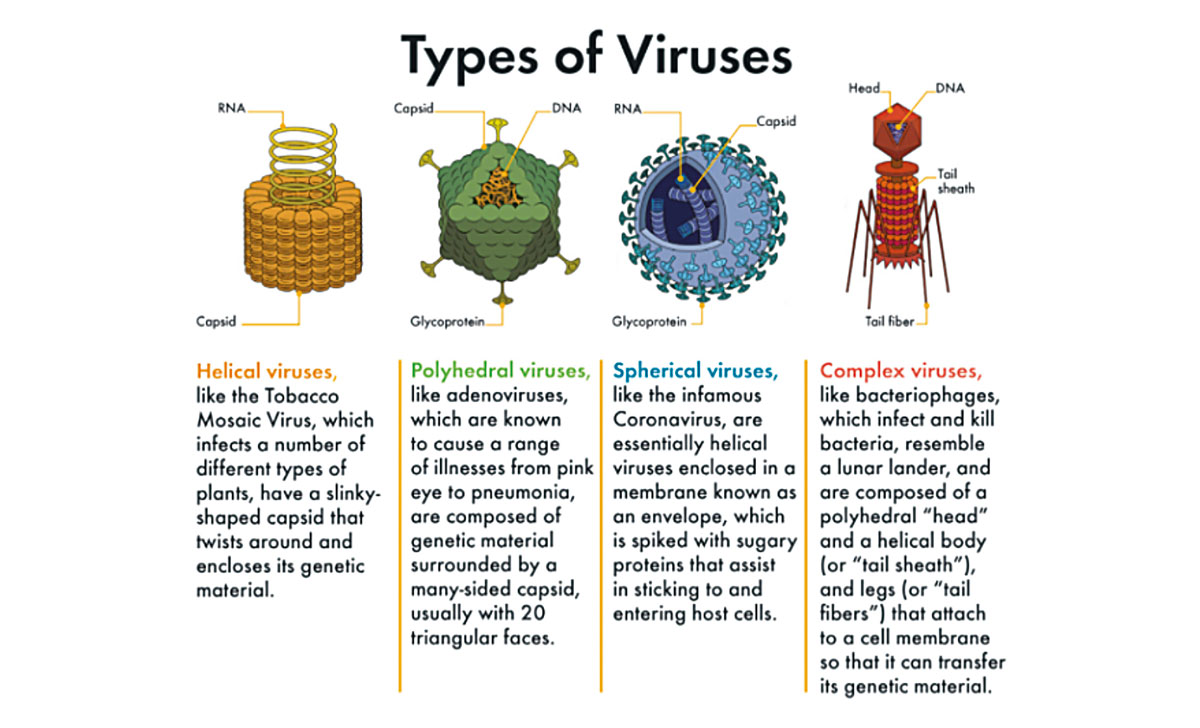 Clinical Considerations In Hiv And Virology - Irish Pharmacist