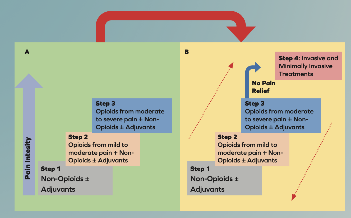 Pain Management - Irish Pharmacist