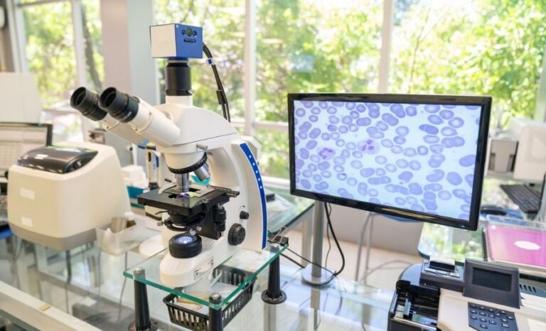 UG researchers create world’s largest digital microbe collection to ...